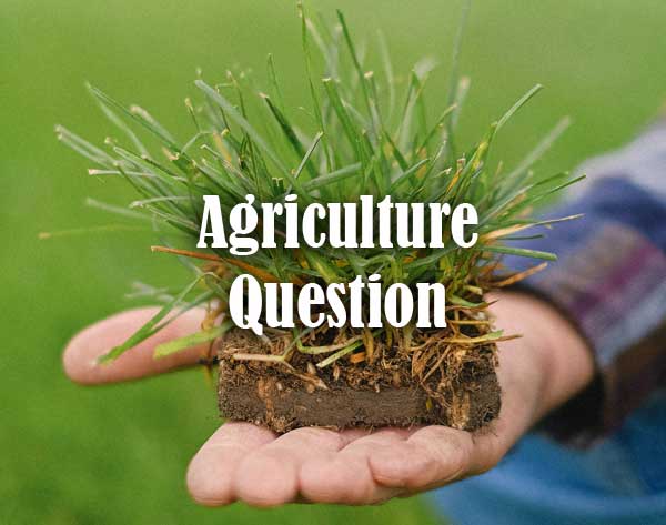 Mastering Agronomy: Comprehensive Questions and Answers for Students ...