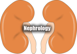 Nephrology MCQ | Multiple Type Questions and Answers