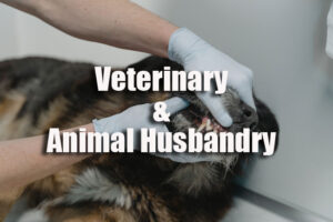 Veterinary Previous Year Question Papers | Animal Husbandry